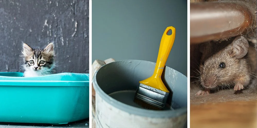 Lista: 21 dåliga lukter som försvann – med hjälp av Ozoneair - Ozoneair SE